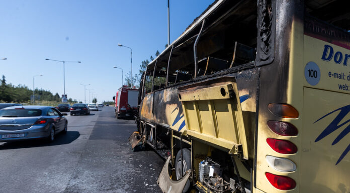 Bus Driver Falls Asleep – at Least 22 Dead | Daily News Planet