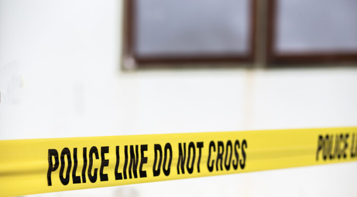 Minnesota Mother, 82, Murdered By Her Son | Daily News Planet