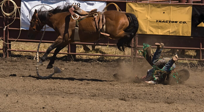 Young Texan Bronc Rider’s Dies in Rodeo Accident | Daily News Planet