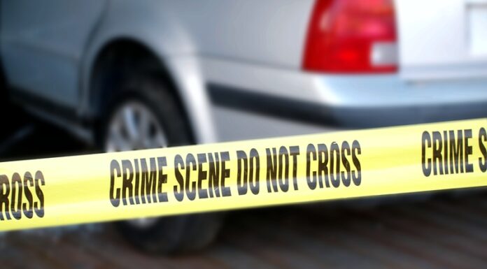 Woman Found Dead in Bullet-Riddled Car | Daily News Planet